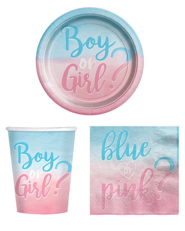 Gender Reveal - Super Value Party Pack for 8 – Party Delights Wondergroup