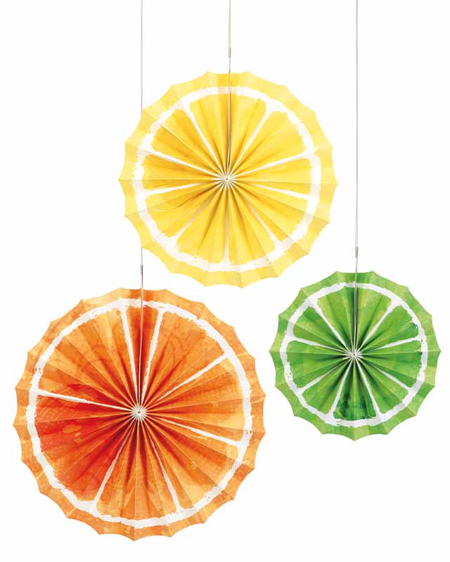 Citrus Fruit Tissue Paper Fans (3pk) – Party Delights Wondergroup