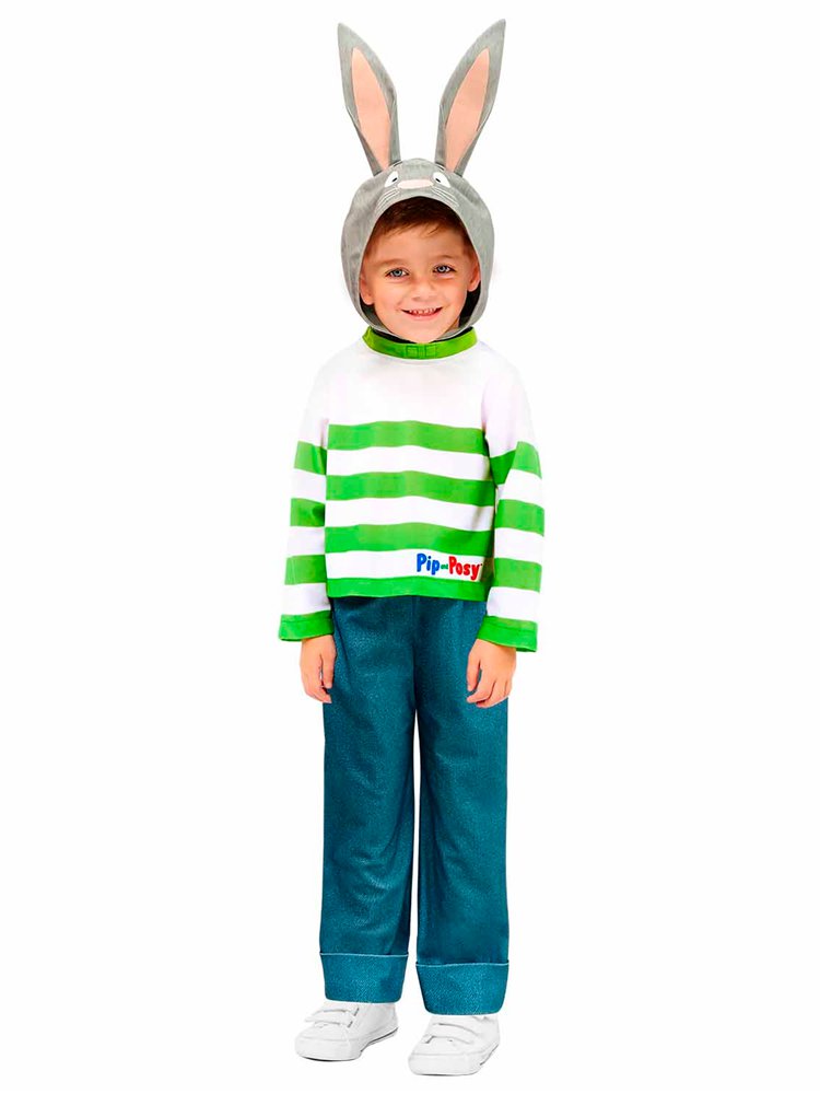 Pip - Child Costume – Party Delights Wondergroup