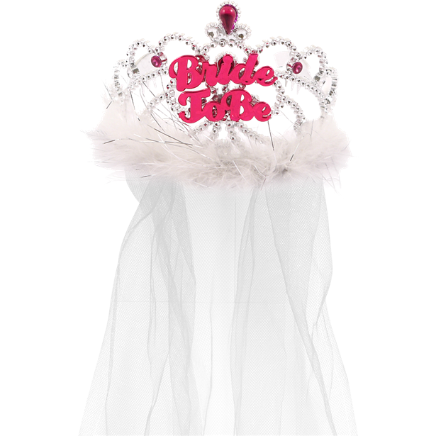 Bride to Be' Tiara with Veil – Party Delights Wondergroup